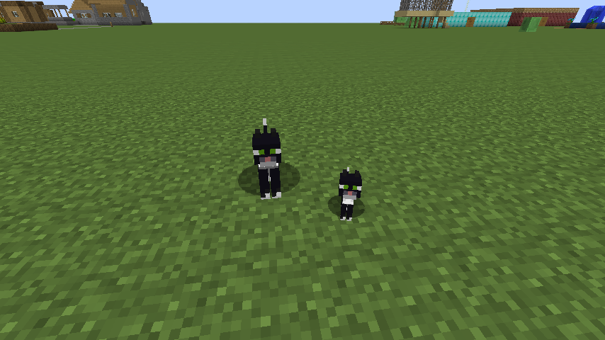 How To Tame A Cat In Minecraft